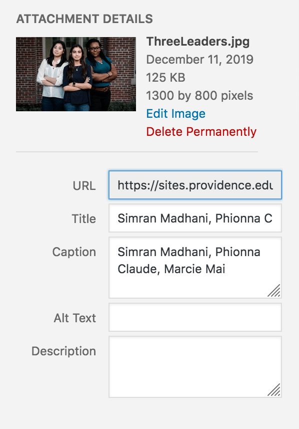 Adding Images to Posts & Pages – Web Services